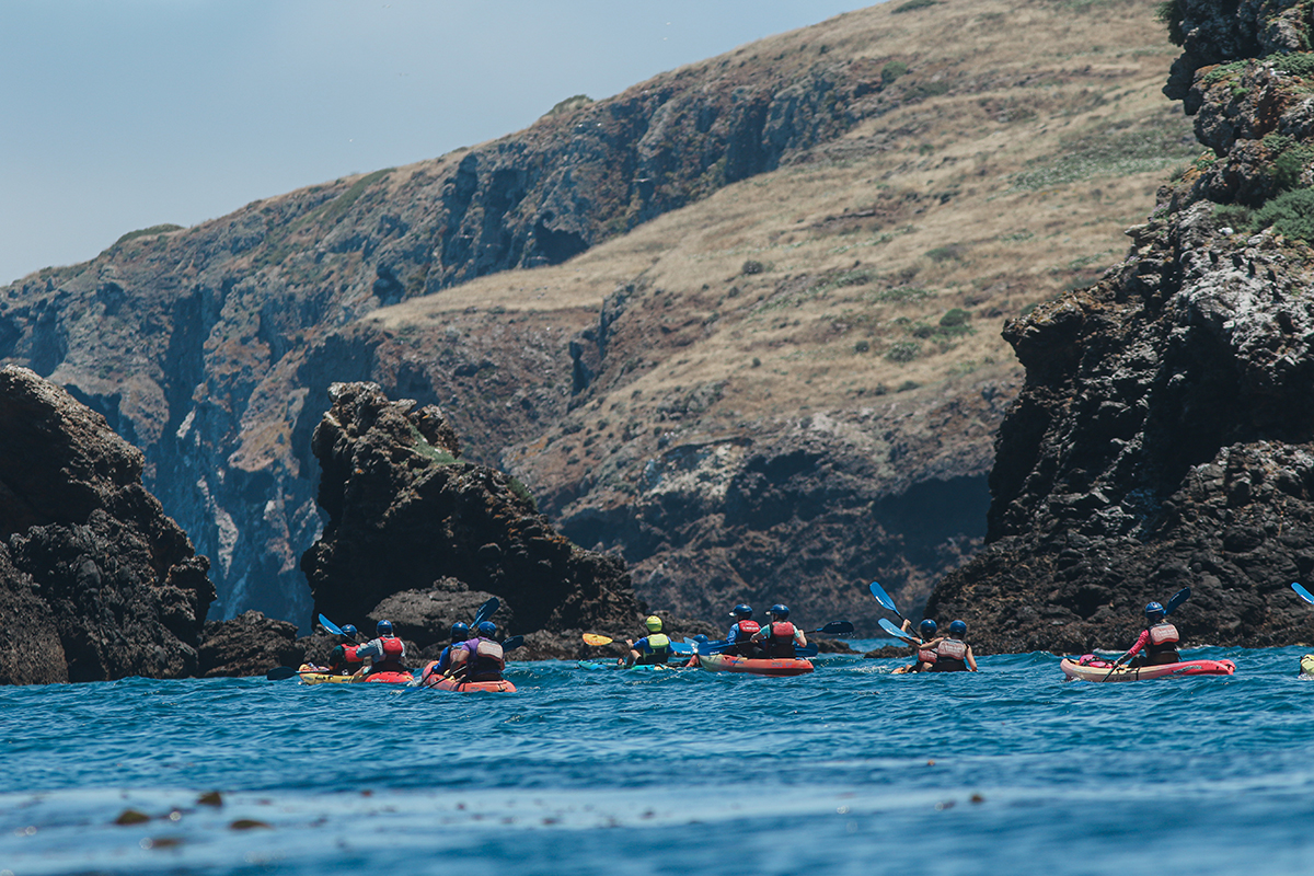 Kayaking Potato Harbor: The Ultimate Channel Islands Adventure - Santa ...