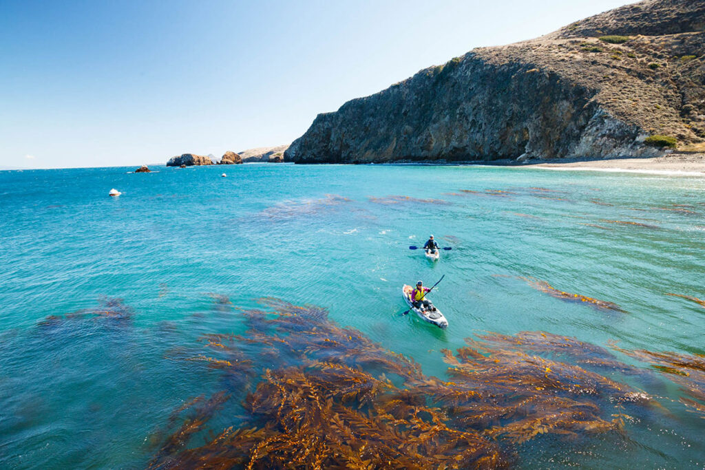 Channel Islands Kayaking Tours | Explore the National Park