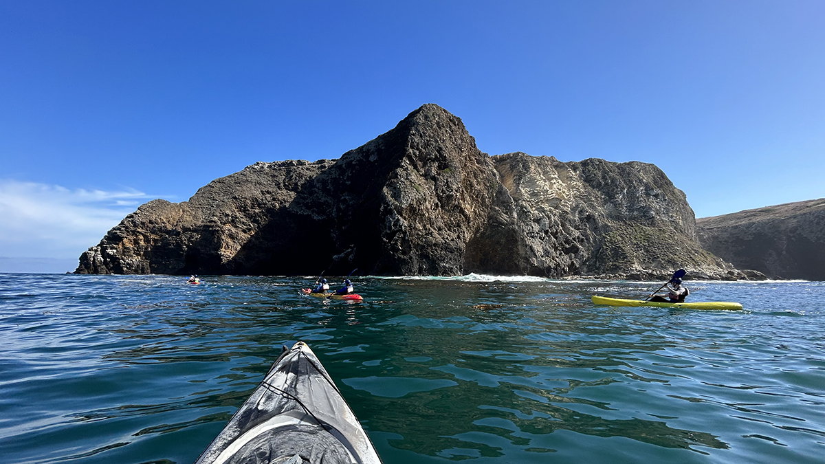4 Reasons Why Winter at Channel Islands Is the Ultimate Family Adventure